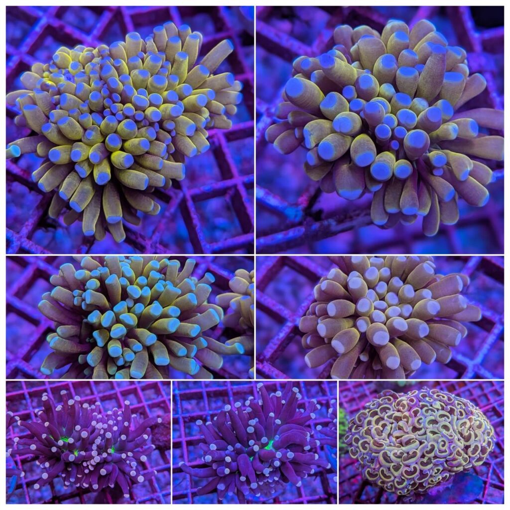 【入荷情報】 ‣ AQUABASE